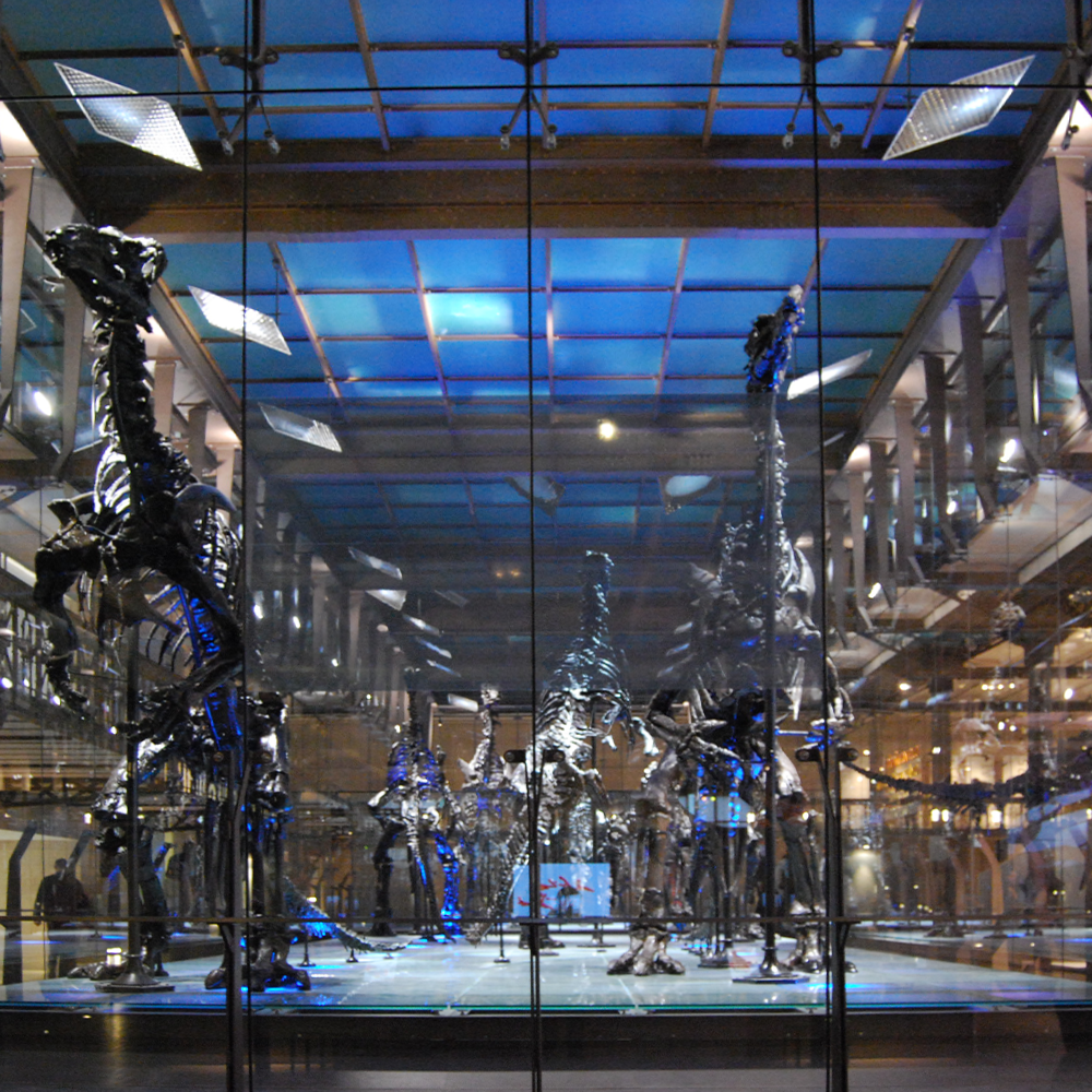 Museums & Attractions - Intelligent Glass